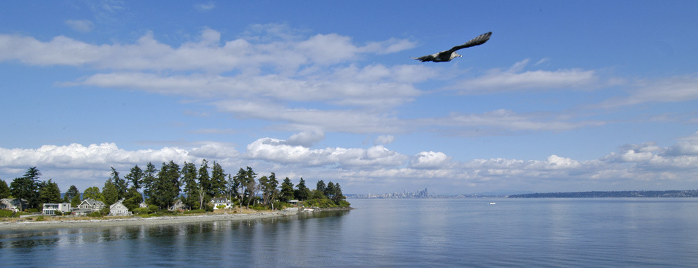 Eagle Harbor Asset Management, Inc.